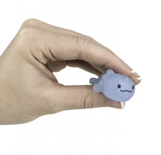 GUMMY AXOLOTL – Launching Success