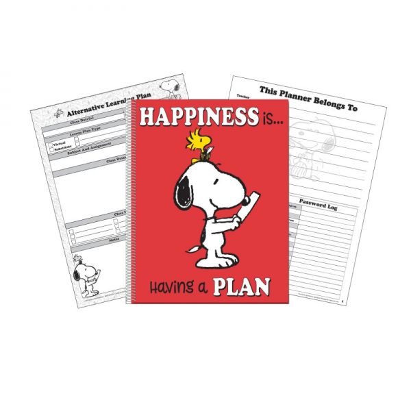 LESSON PLAN AND RECORD BOOK: PEANUTS – Launching Success